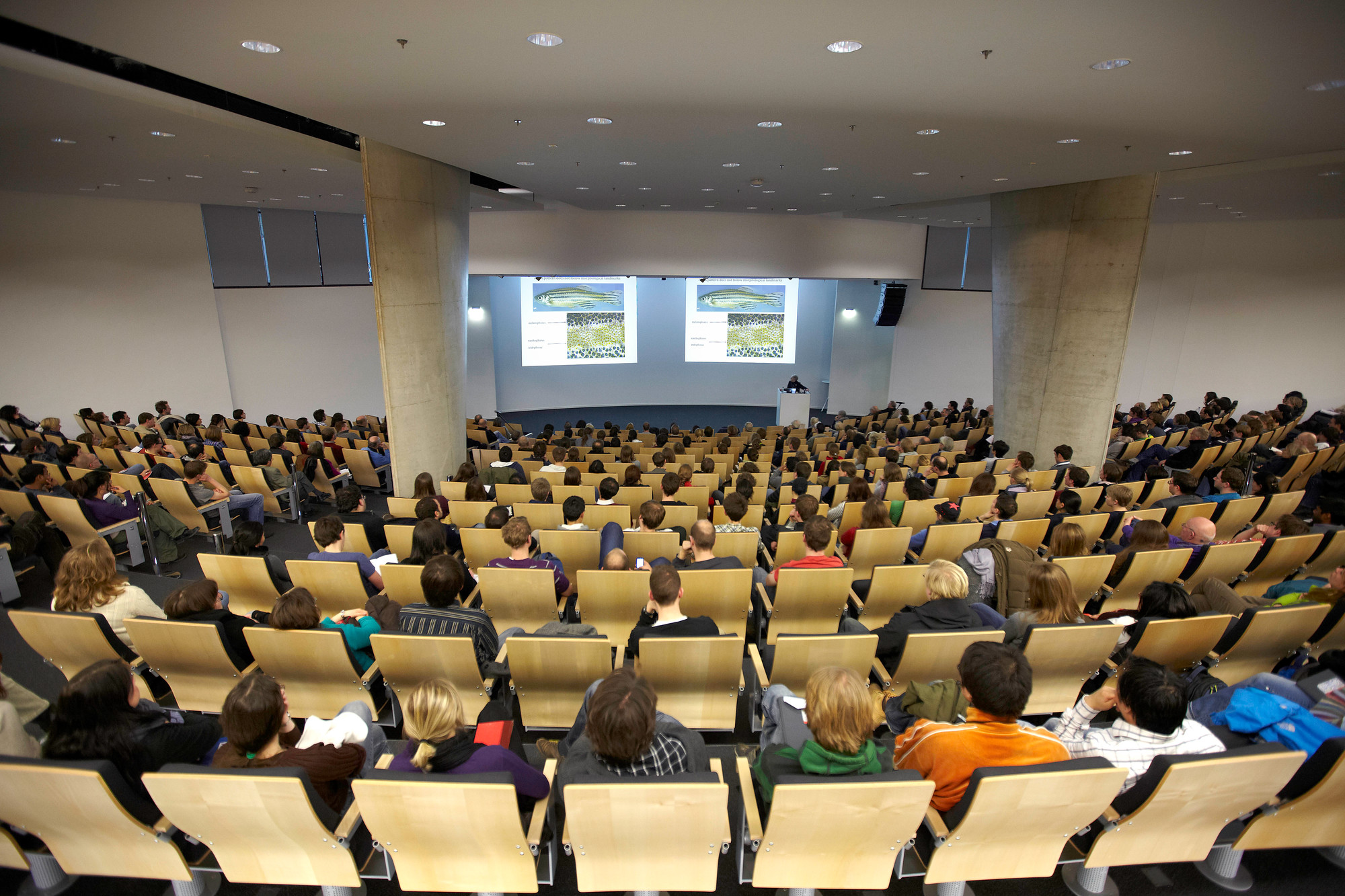 Open Science at EMBL – For a positive culture change in life science ...