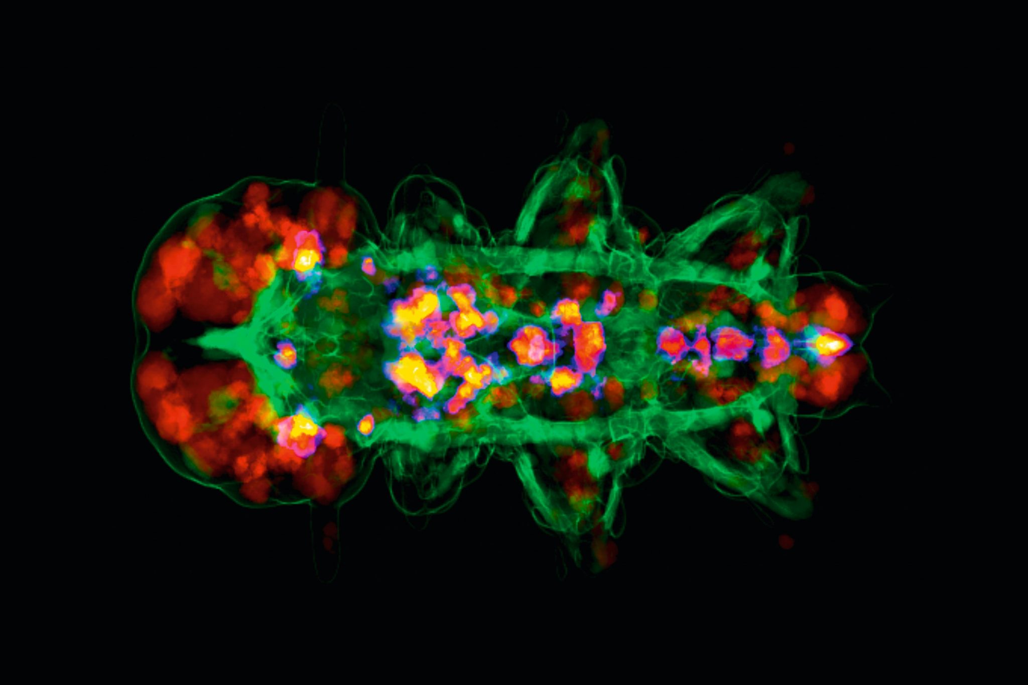 TREC – An expedition to study coastal ecosystems and their response to ...