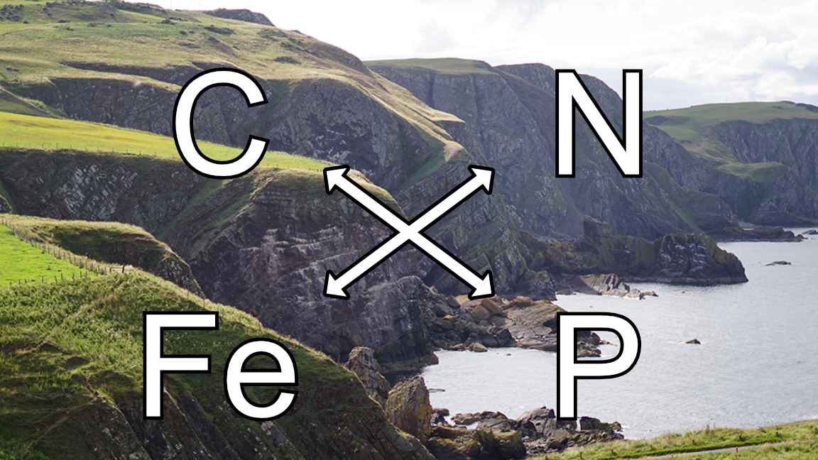 Planetary Processes – TREC