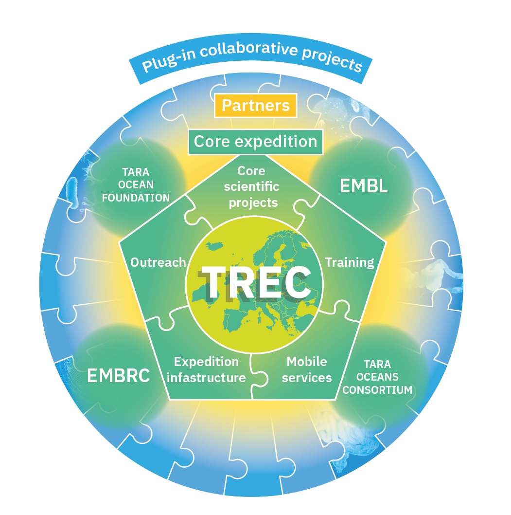 European Network – TREC