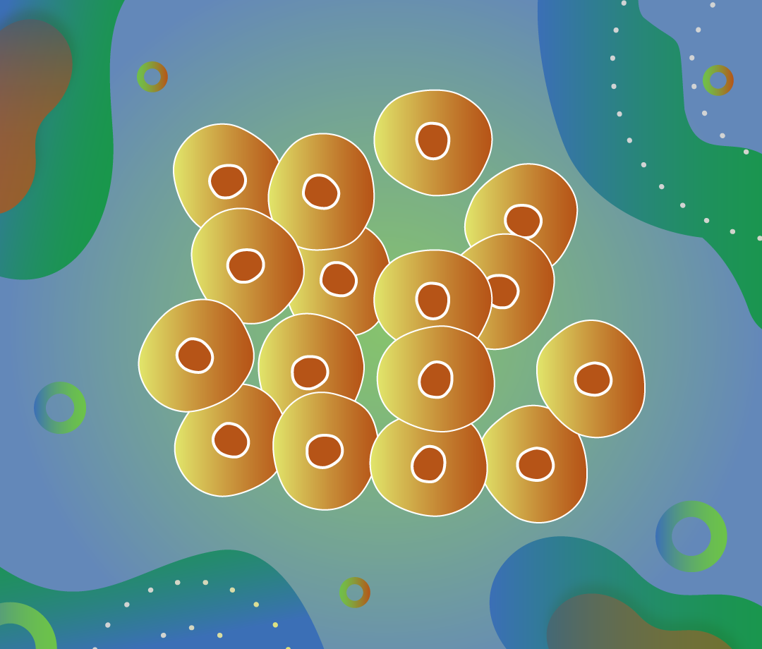 Heidelberg | EMBL.org