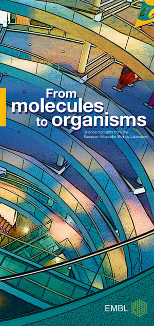 From molecules to organisms – EMBL Documents