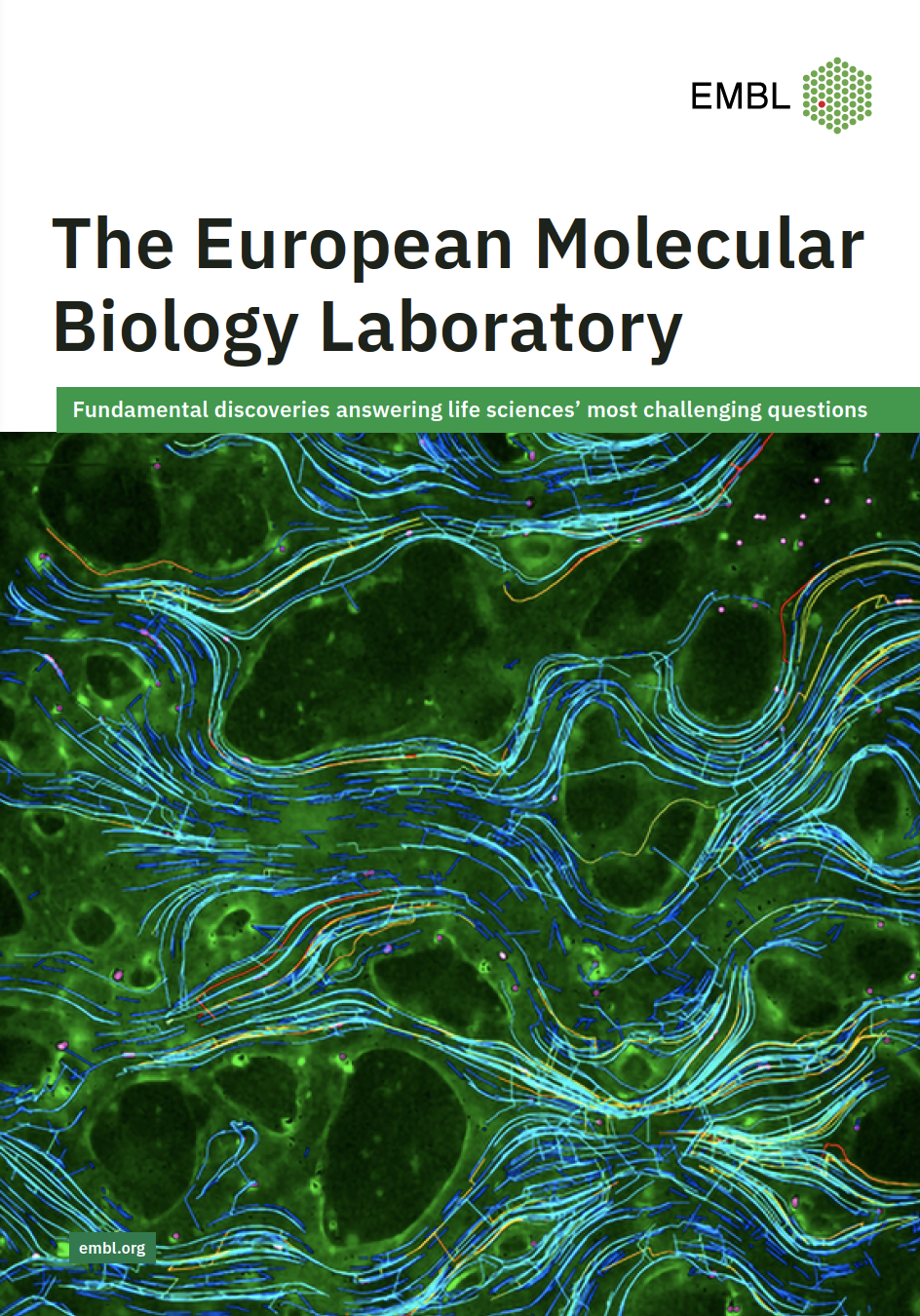 EMBL Documents – Repository for EMBL documents