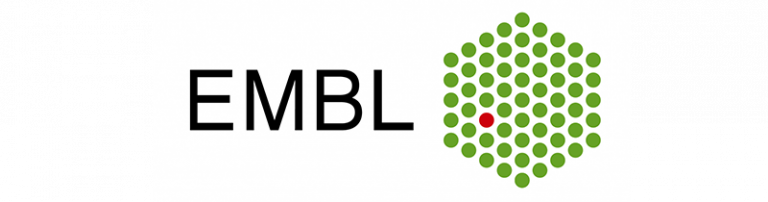 EMBL International PhD Programme | EMBL-EBI