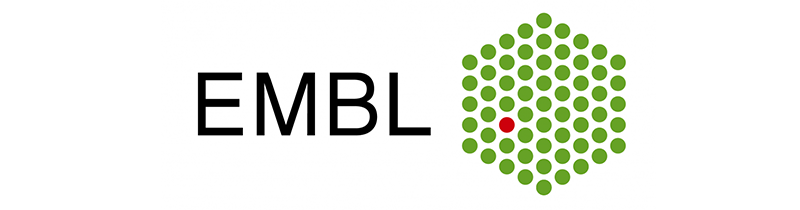 EMBL International PhD Programme | EMBL-EBI