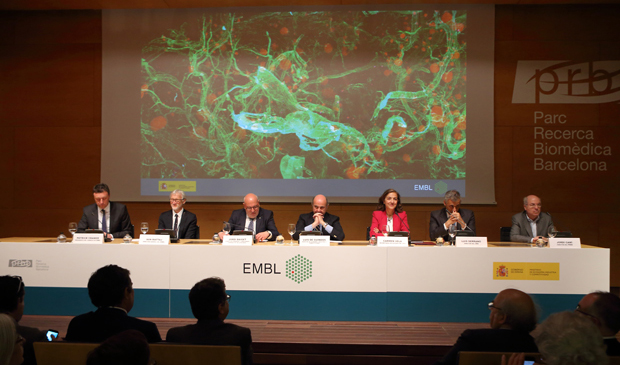 Gallery | EMBL.org