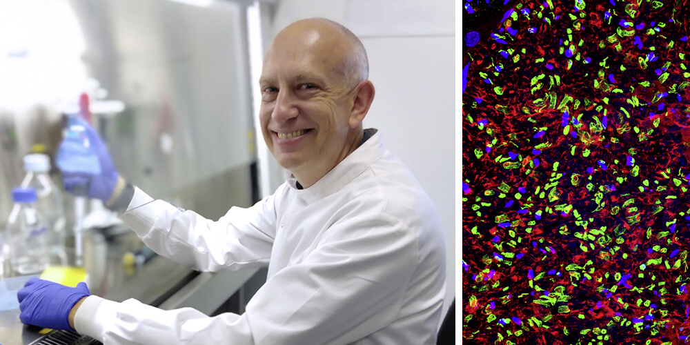 EMBL organism | EMBL.org