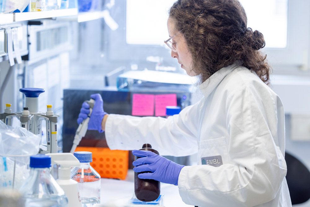 Trainees and interns | EMBL.org