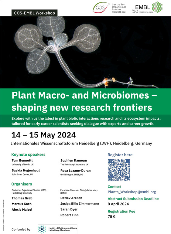 Plant Macro- and Microbiomes – shaping new research frontiers | EMBL.org