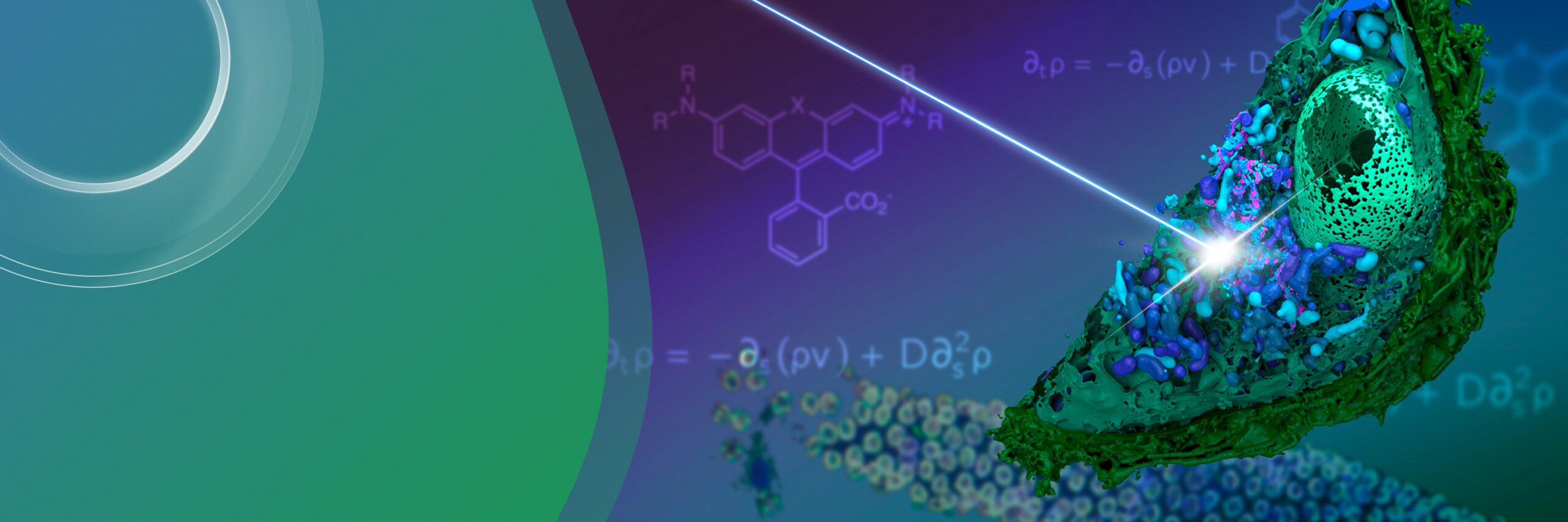 Cell Biology and Biophysics | EMBL.org