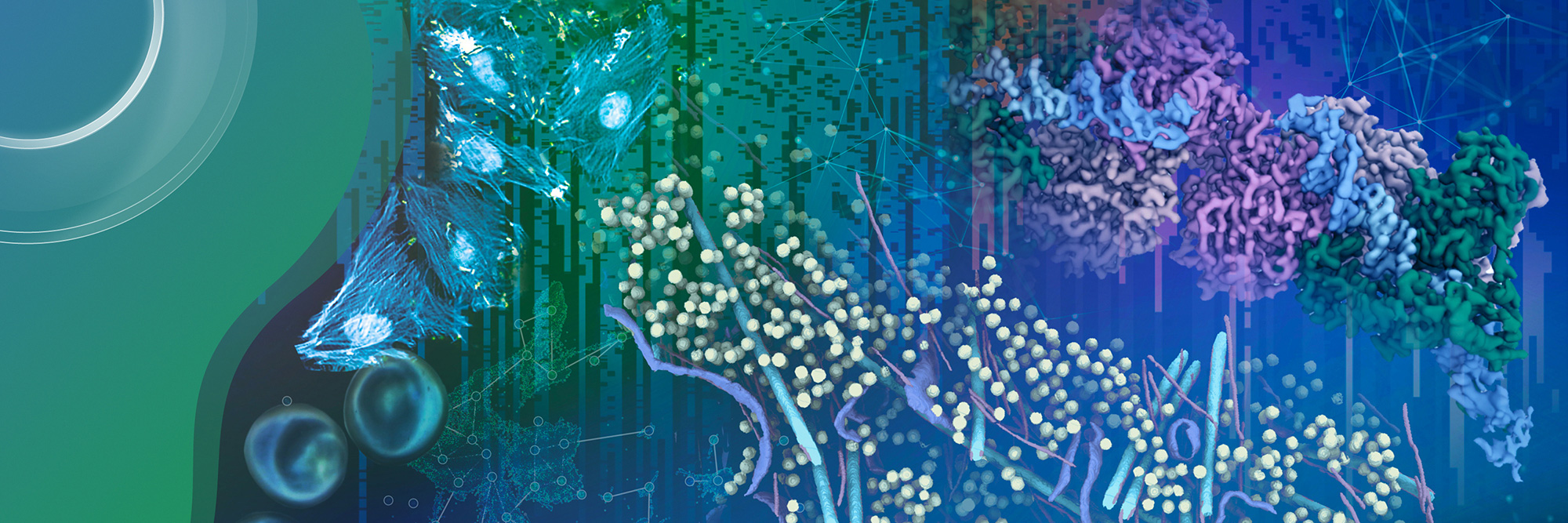 Molecular Systems Biology | EMBL.org