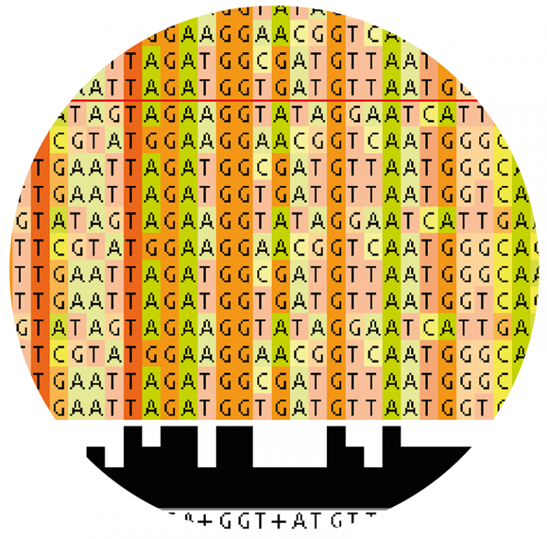 Step 2: Comparison of nucleotide sequences – EMBL ELLS