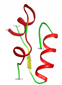 Focus on: Insulin – EMBL ELLS