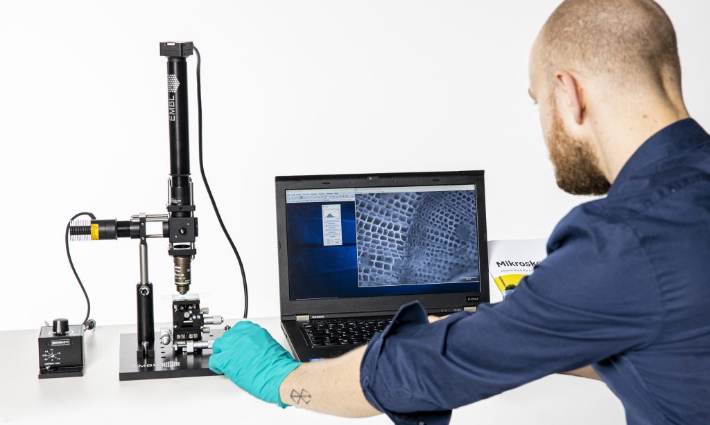 Part 1: Search for protein identity – EMBL ELLS