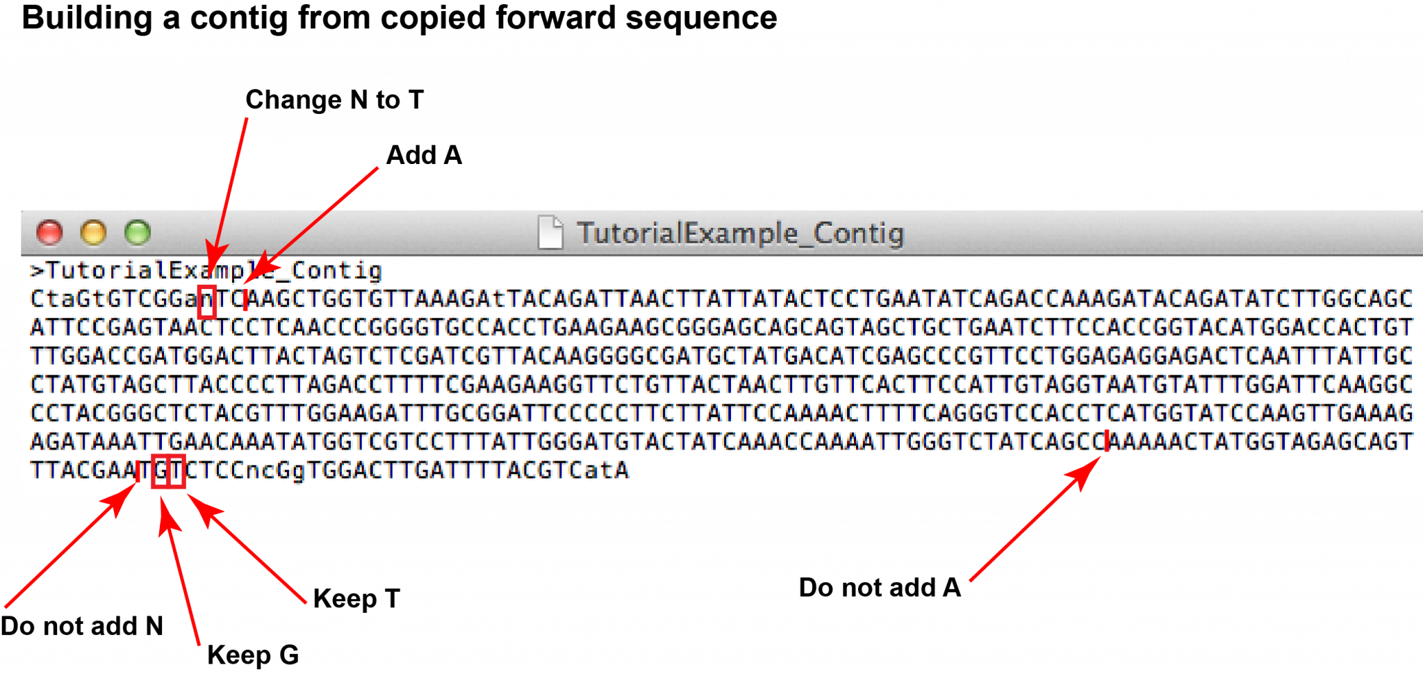 Bioinformatics tutorial – EMBL ELLS