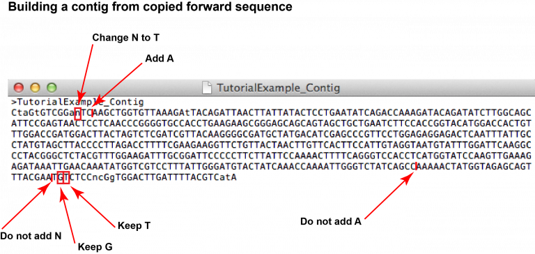 Bioinformatics tutorial – EMBL ELLS