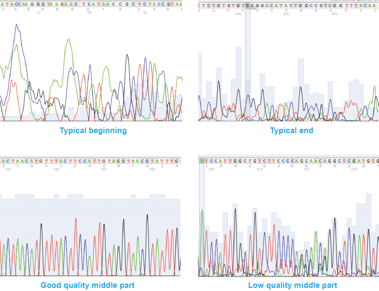 Bioinformatics tutorial – EMBL ELLS