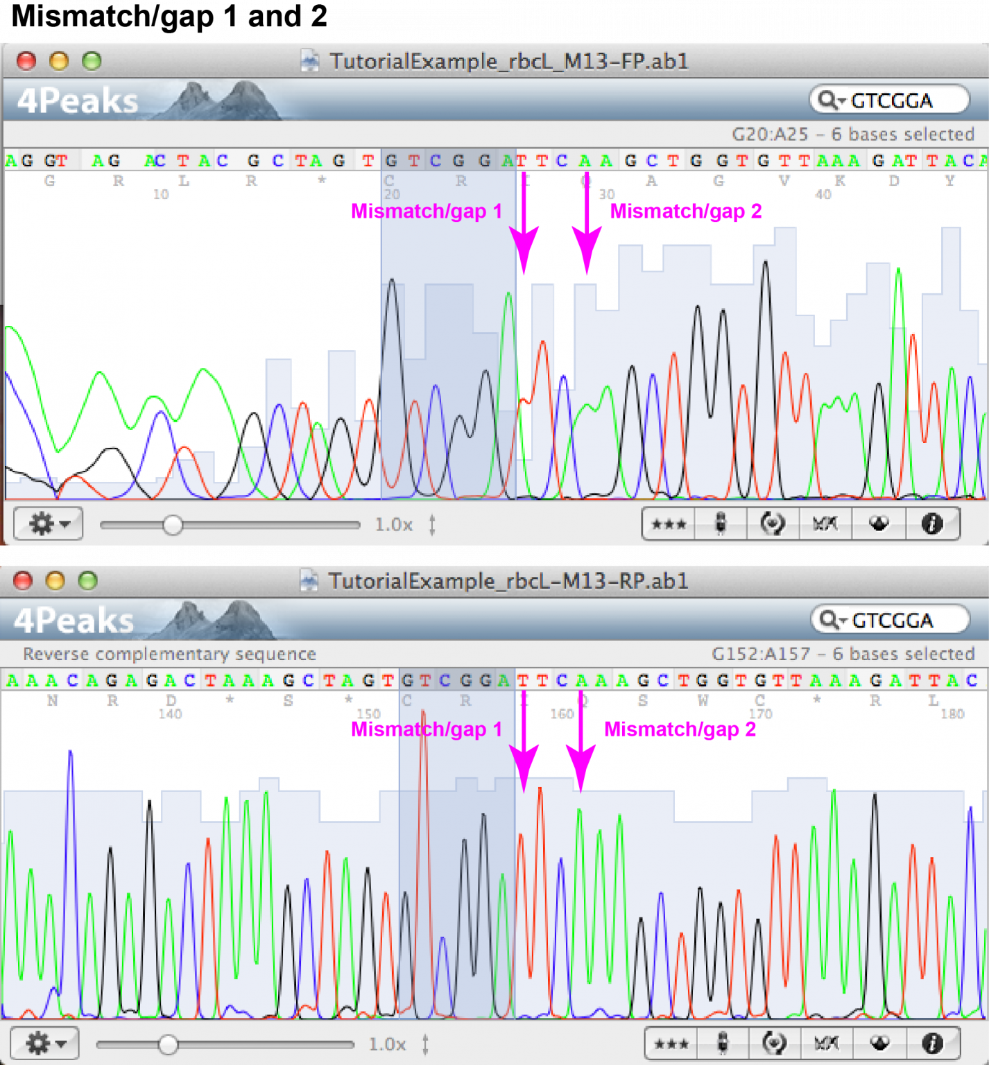 Bioinformatics tutorial – EMBL ELLS