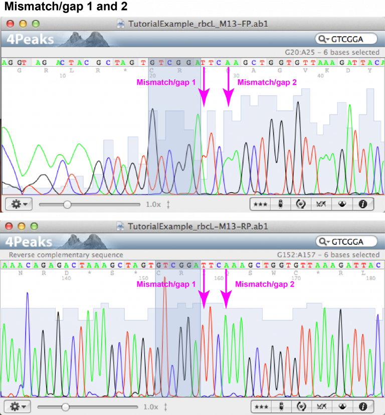 Bioinformatics tutorial – EMBL ELLS