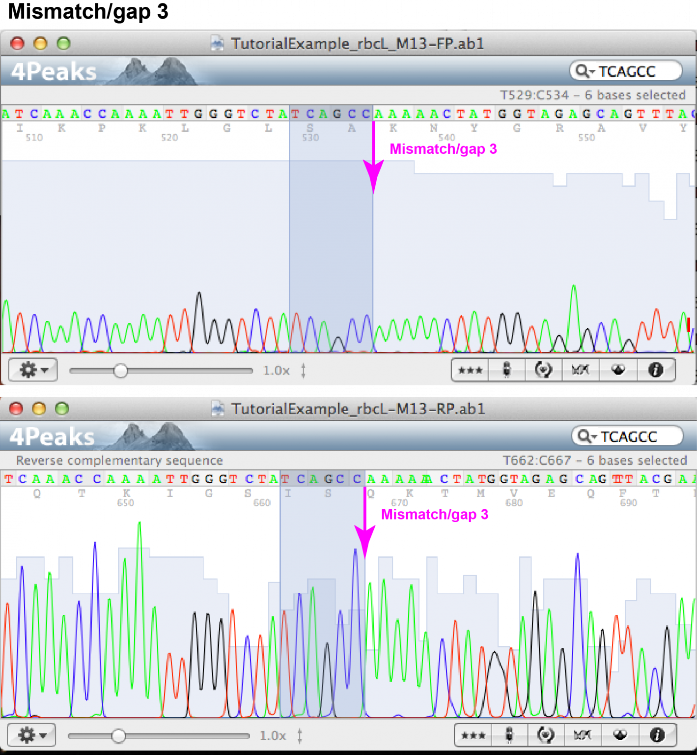 Bioinformatics tutorial – EMBL ELLS