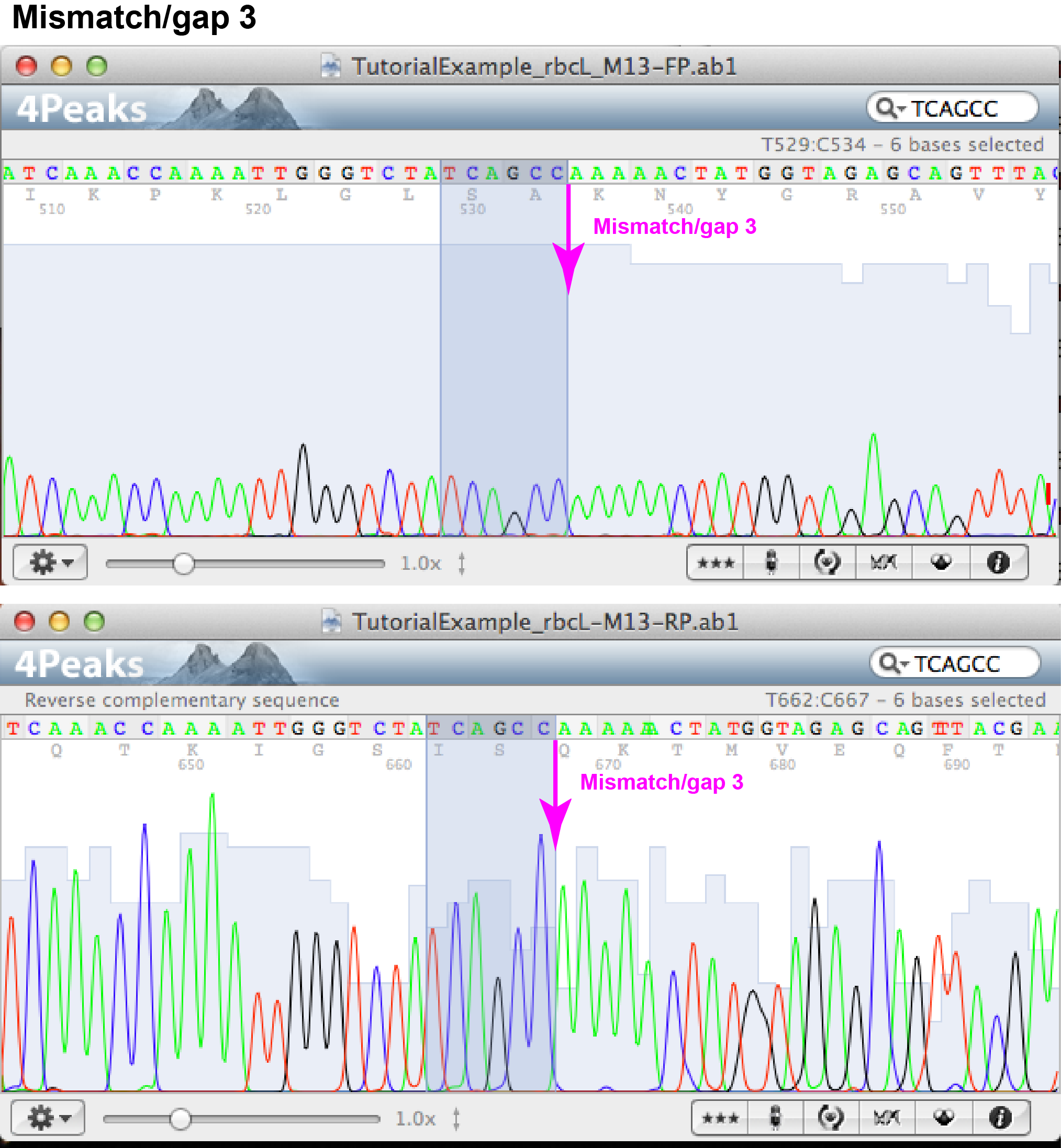 Bioinformatics tutorial – EMBL ELLS