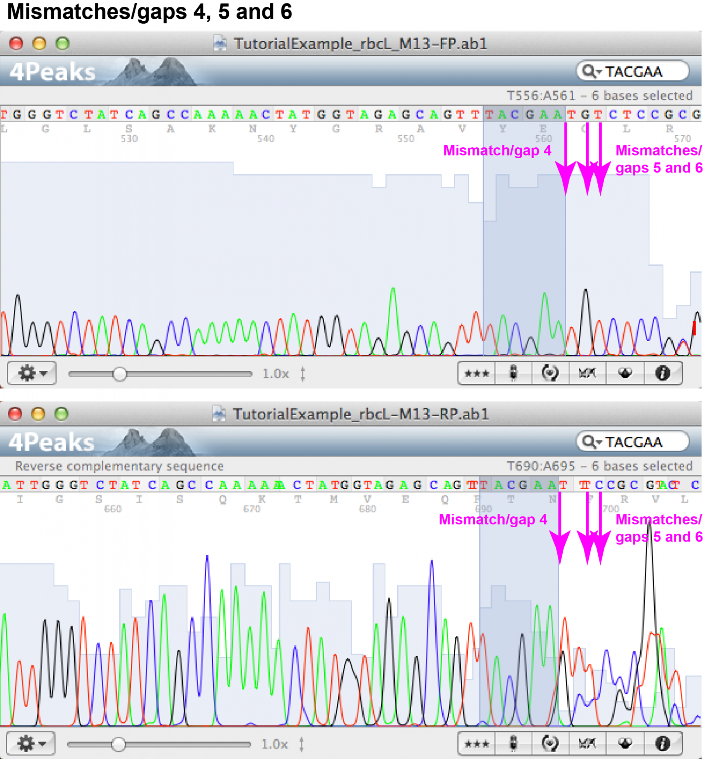 Bioinformatics tutorial – EMBL ELLS