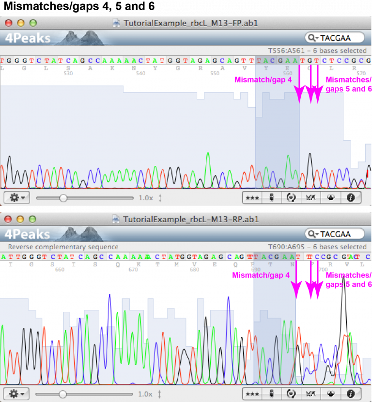 Bioinformatics tutorial – EMBL ELLS