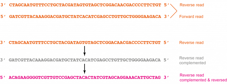 Bioinformatics tutorial – EMBL ELLS