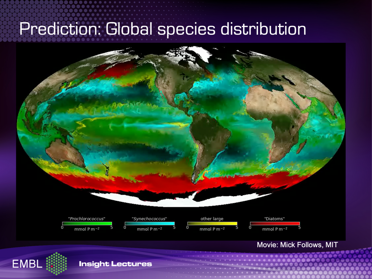Ocean diversity – resource collection – EMBL ELLS