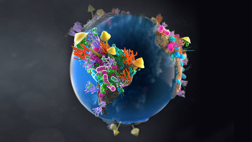 Biodiversity | EMBL.org