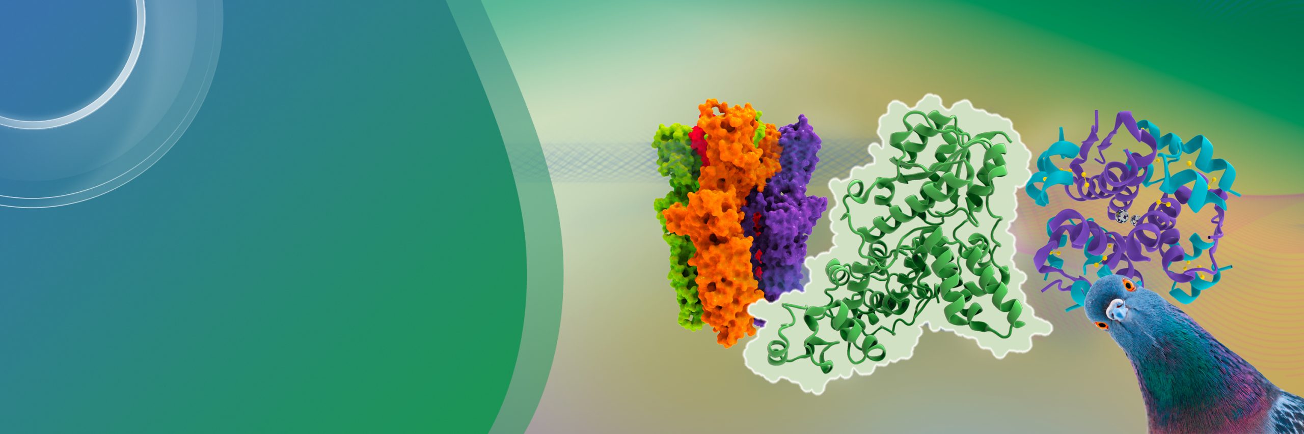 For Participating Youth | EMBL.org