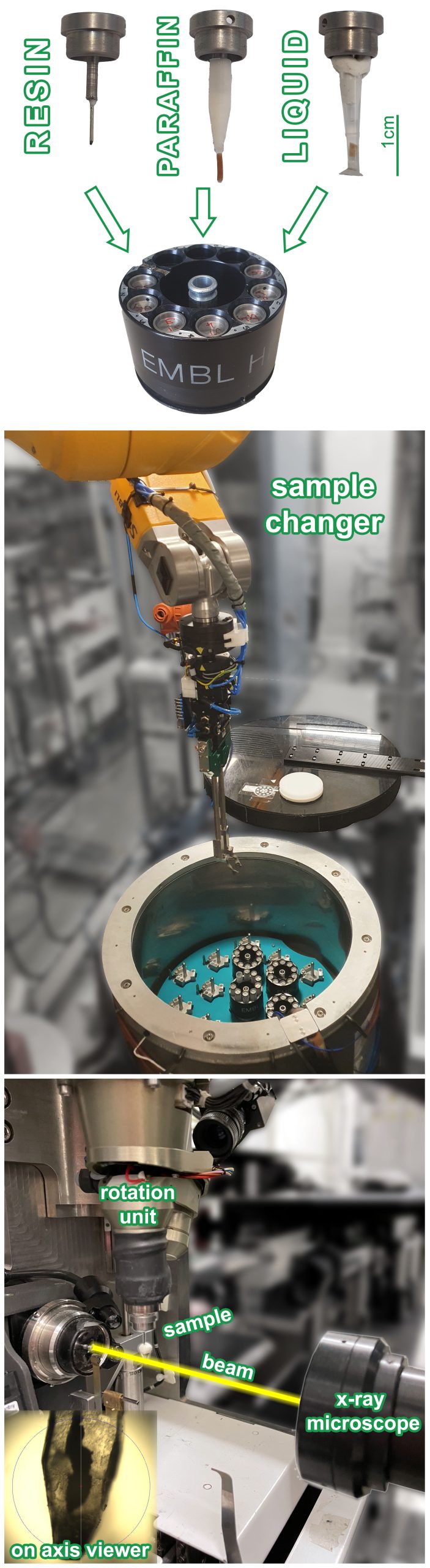 Duke Team – Biological X-ray imaging