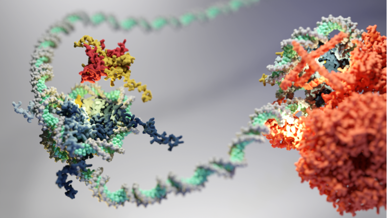 Eustermann Group – Exploring the chromatin landscape by cryo-electron ...