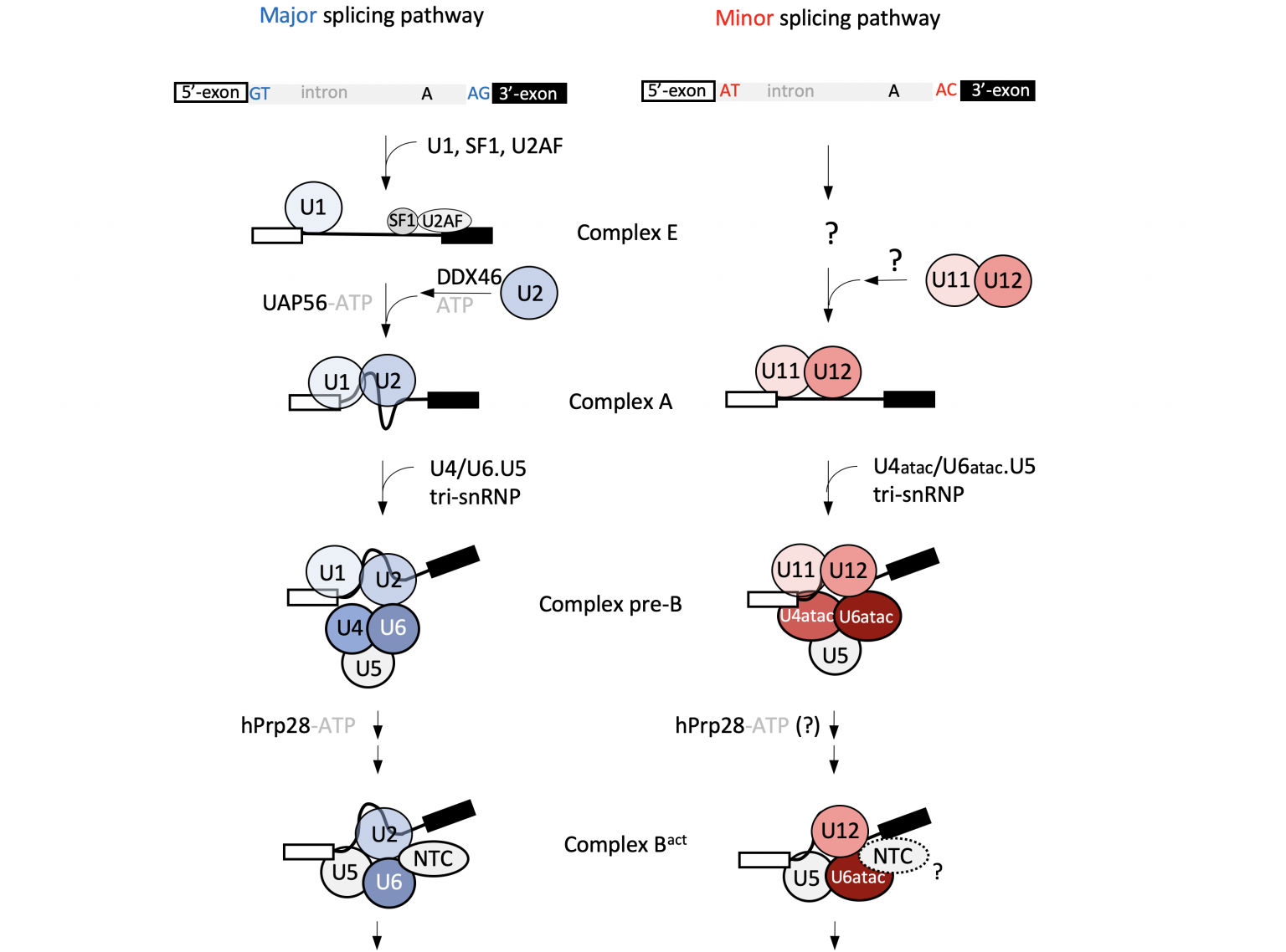 Research – Galej Group