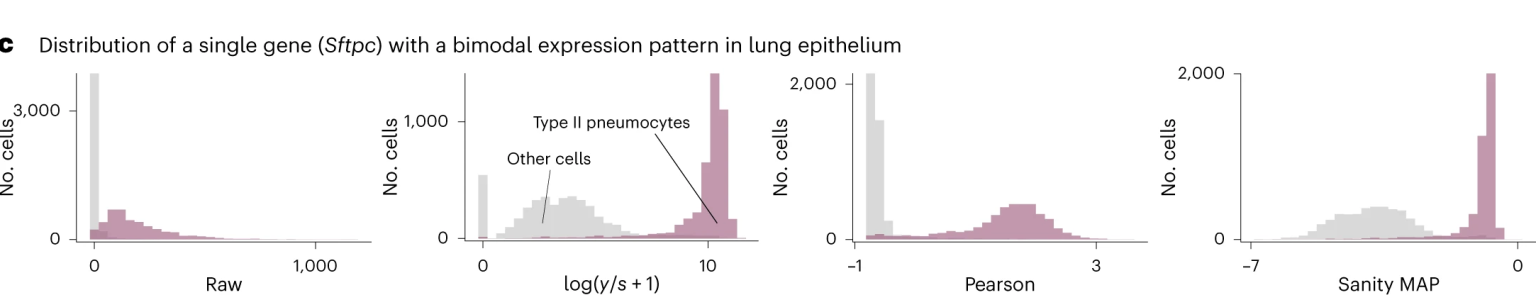 Huber Group – Quantitative Biology and Statistics