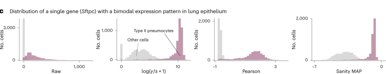Huber Group – Quantitative Biology and Statistics