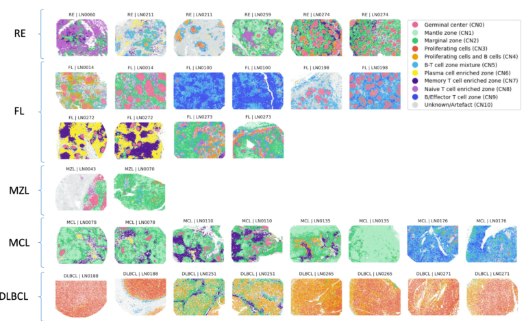 Huber Group – Quantitative Biology and Statistics