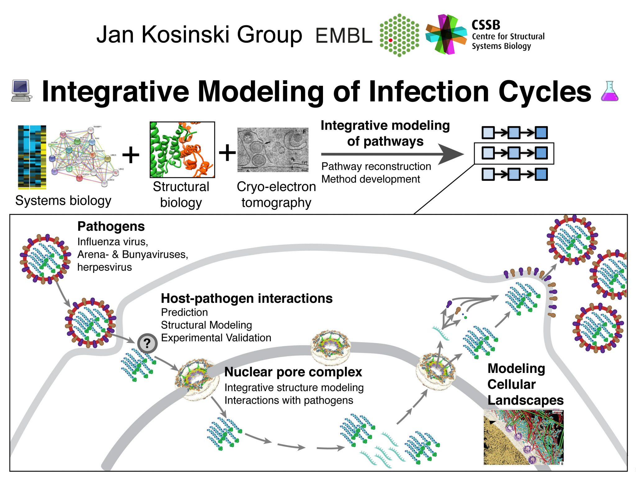 Kosinski Group – Integrative modelling of infection cycles