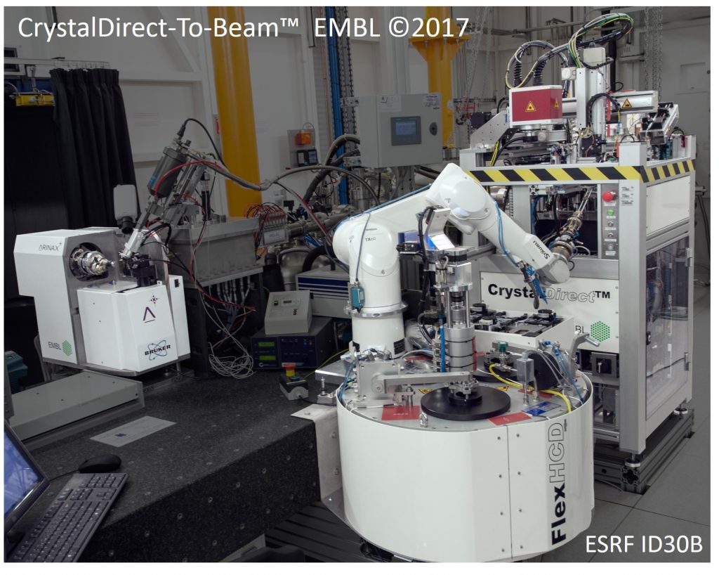 Instruments – Papp Team