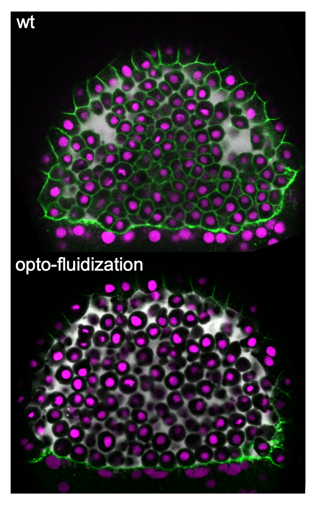 Projects – Petridou Group
