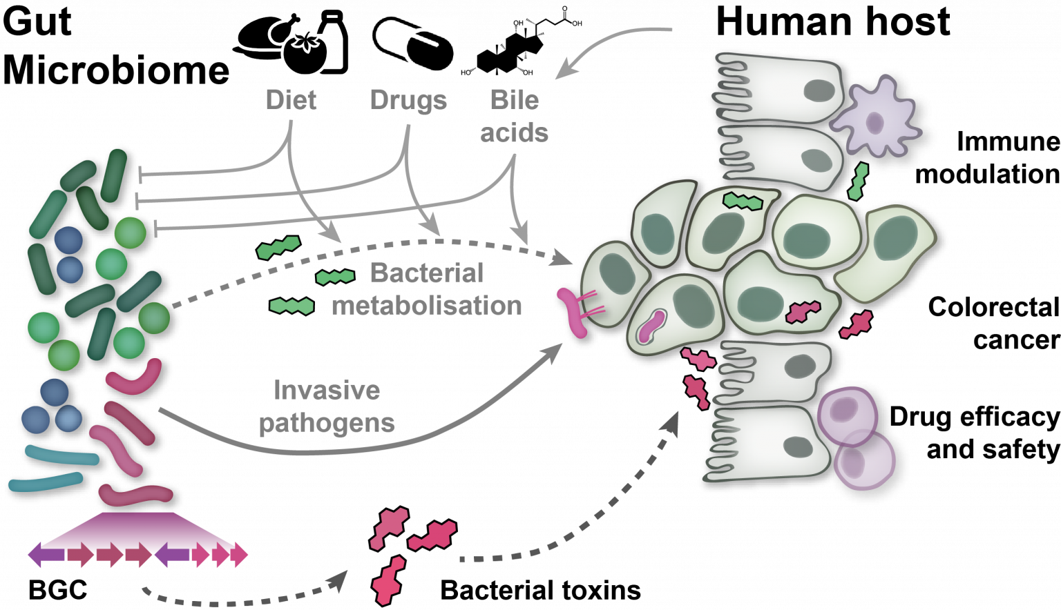 Zeller Team (Visiting) – Computational analysis of host-microbiota ...