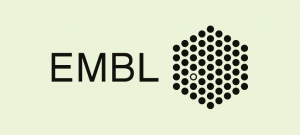 EMBL Logo – EMBL Corporate design guidelines