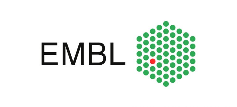 EMBL Logo – EMBL Corporate design guidelines