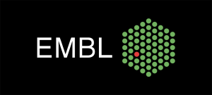 EMBL Logo – EMBL Corporate design guidelines