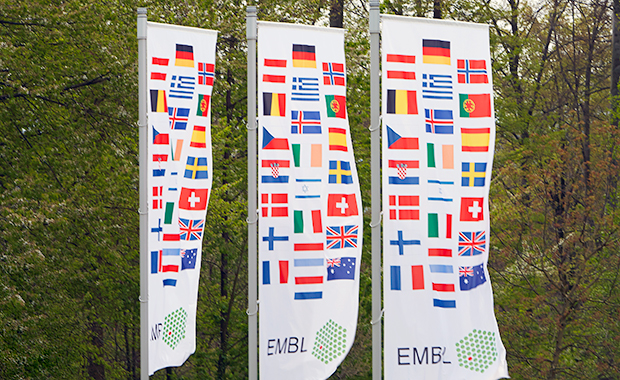 40 things that make EMBL, EMBL