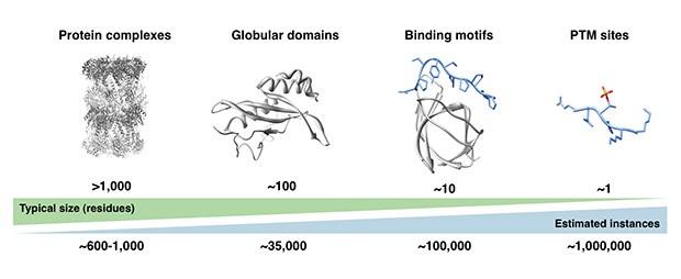 Embracing cellular complexity | EMBL