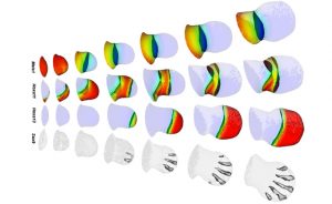 What would it take to regrow an arm? | EMBL