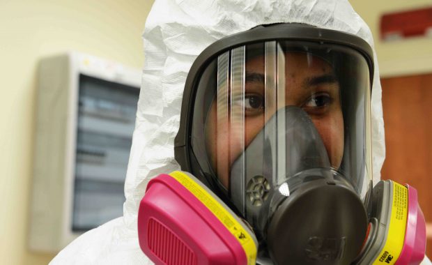 What we learned from fruit flies