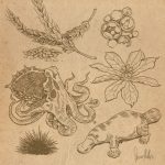 Curious genomes | EMBL