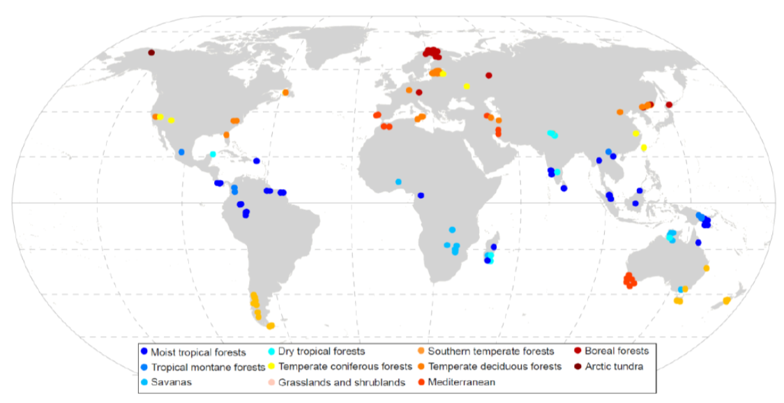 Understanding soil through its microbiome | EMBL